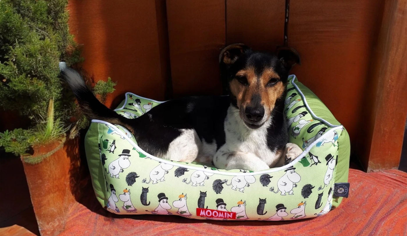 Moomin Dog Beds & Accessories from Soho Poms